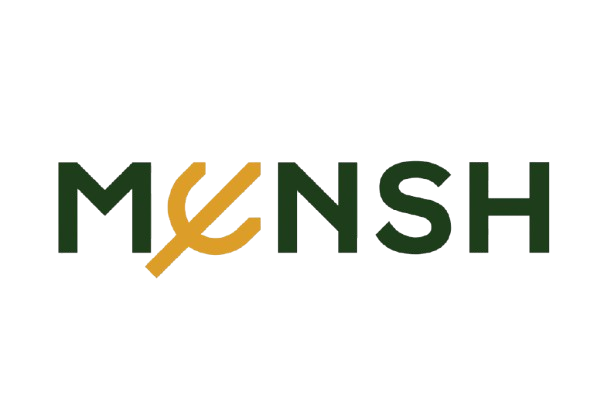 MENSH Digital BDS - Transforming Ideas into Reality